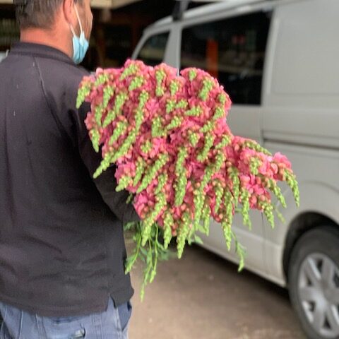 Floral Hug - Stems Flower Market